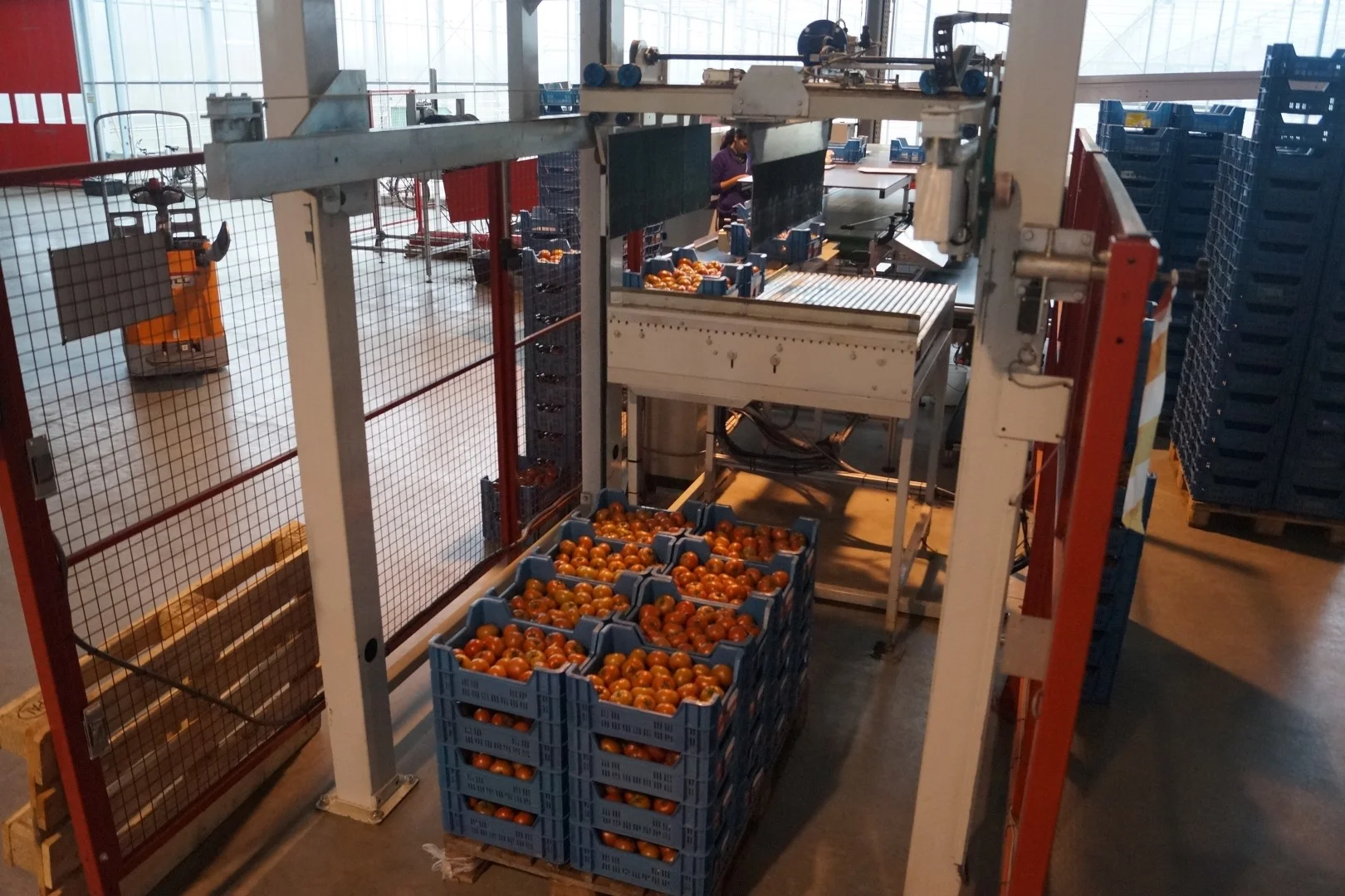 Sorma FBG palletizer • Duijndam Machines