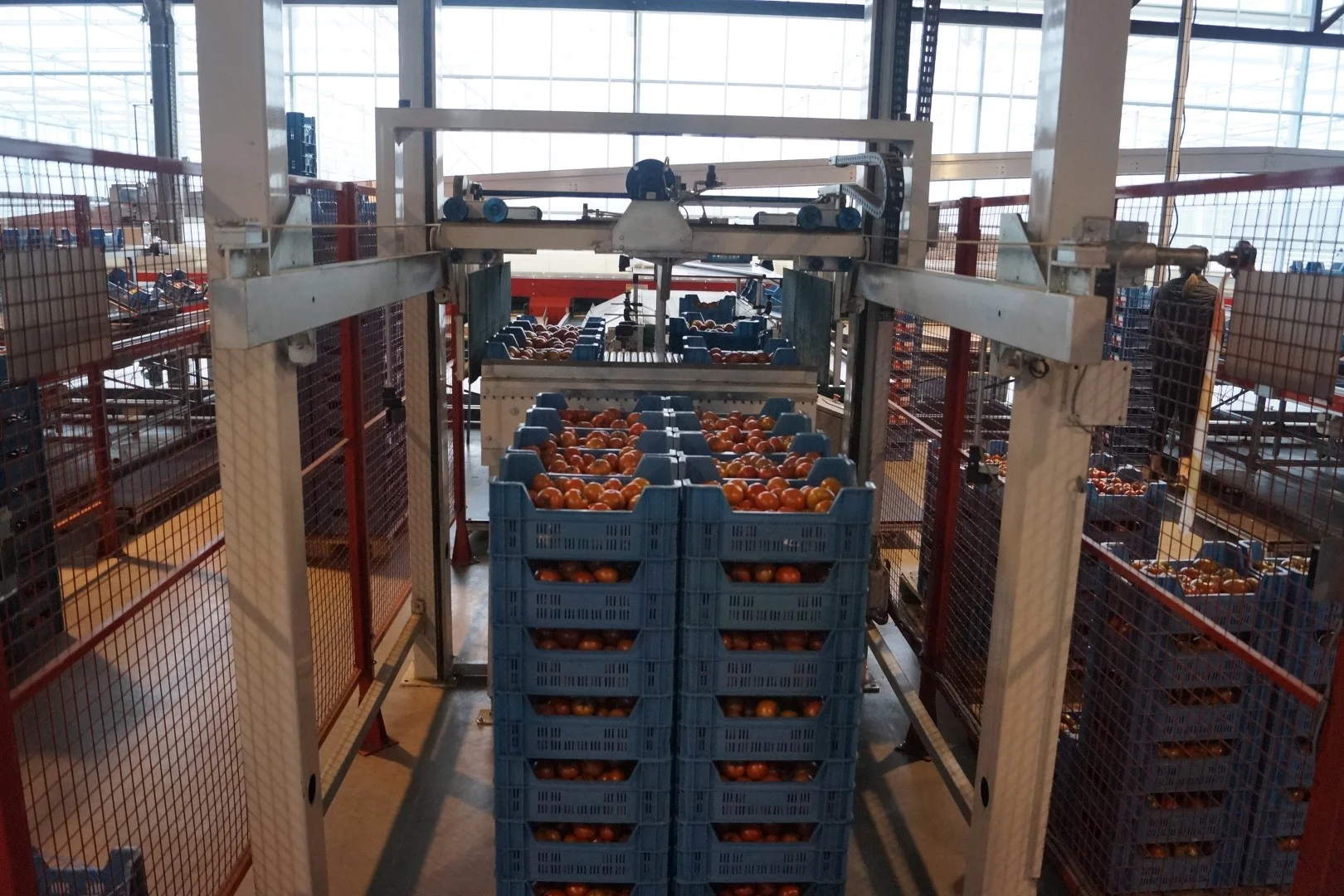 Sorma FBG palletizer • Duijndam Machines