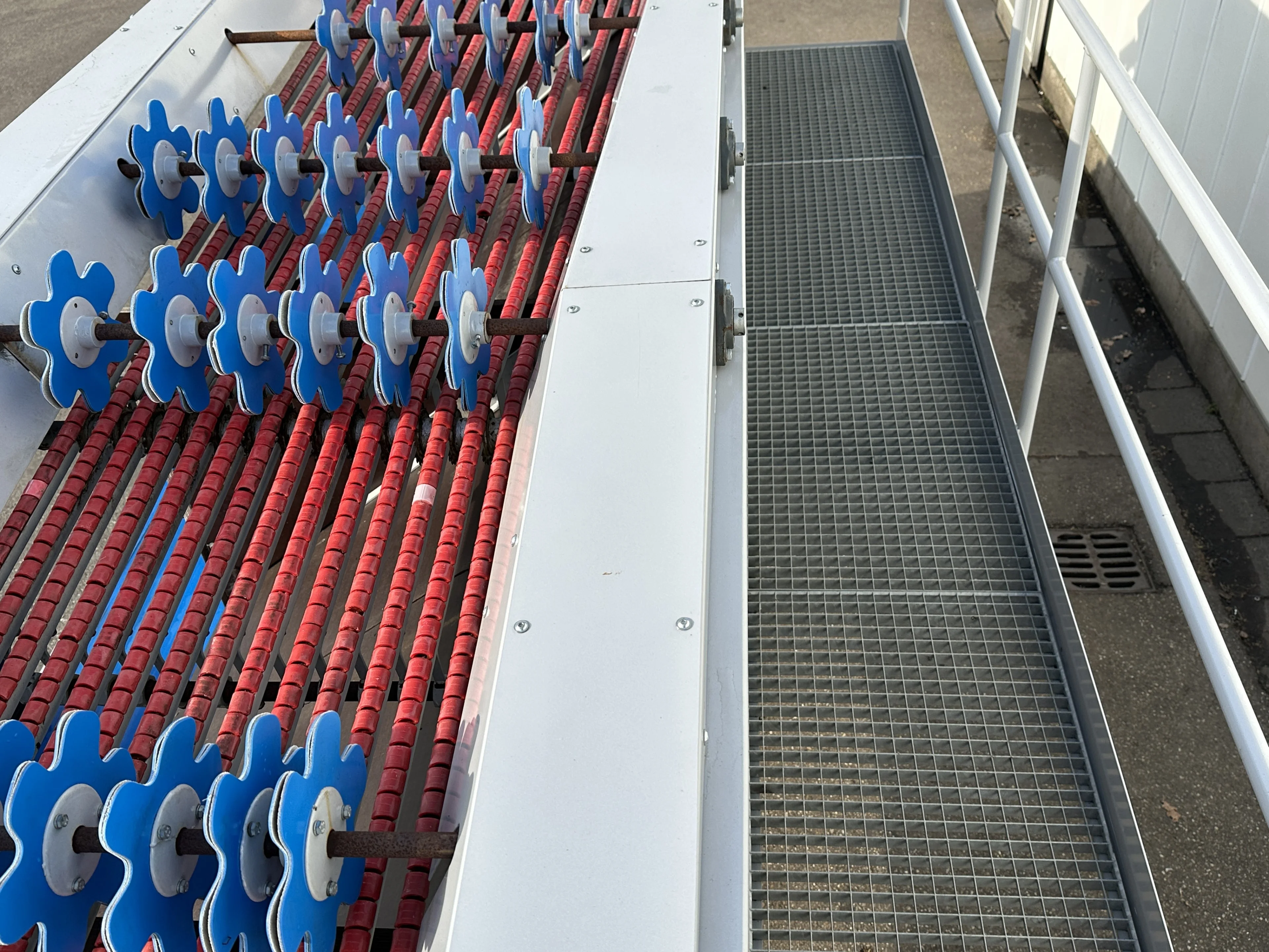 Sormac chain sorting machine for pickles and carrots 13 lines ...