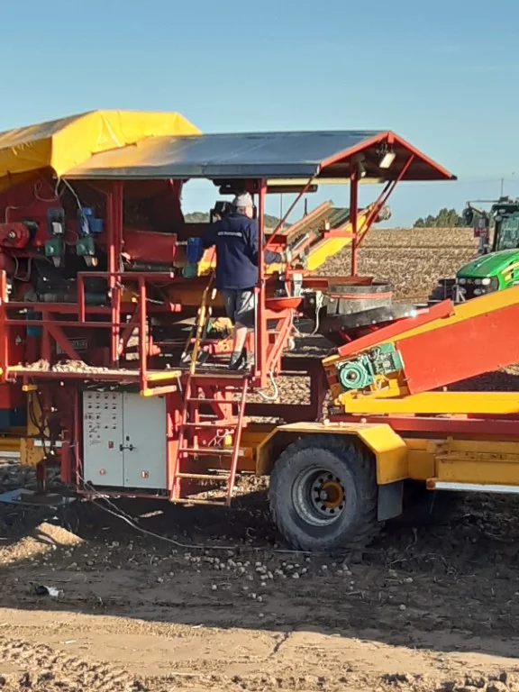 Spinnekop Combine receiving hopper with cleaner ,inspection conveyor ...