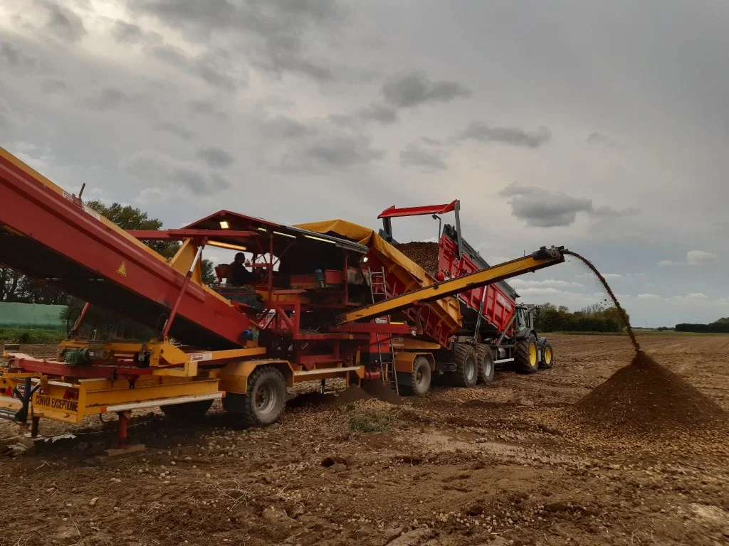 Spinnekop Combine receiving hopper with cleaner ,inspection conveyor ...