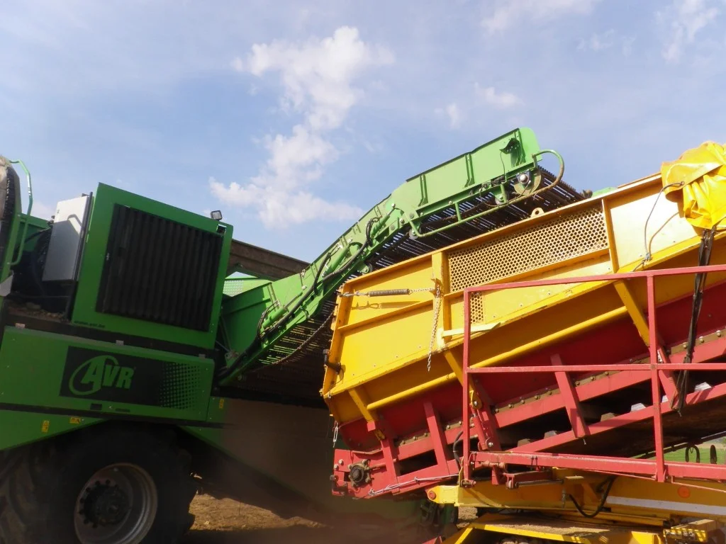 Spinnekop Combine receiving hopper with cleaner ,inspection conveyor ...