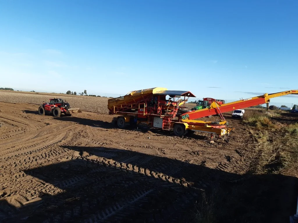 Spinnekop Combine receiving hopper with cleaner ,inspection conveyor ...