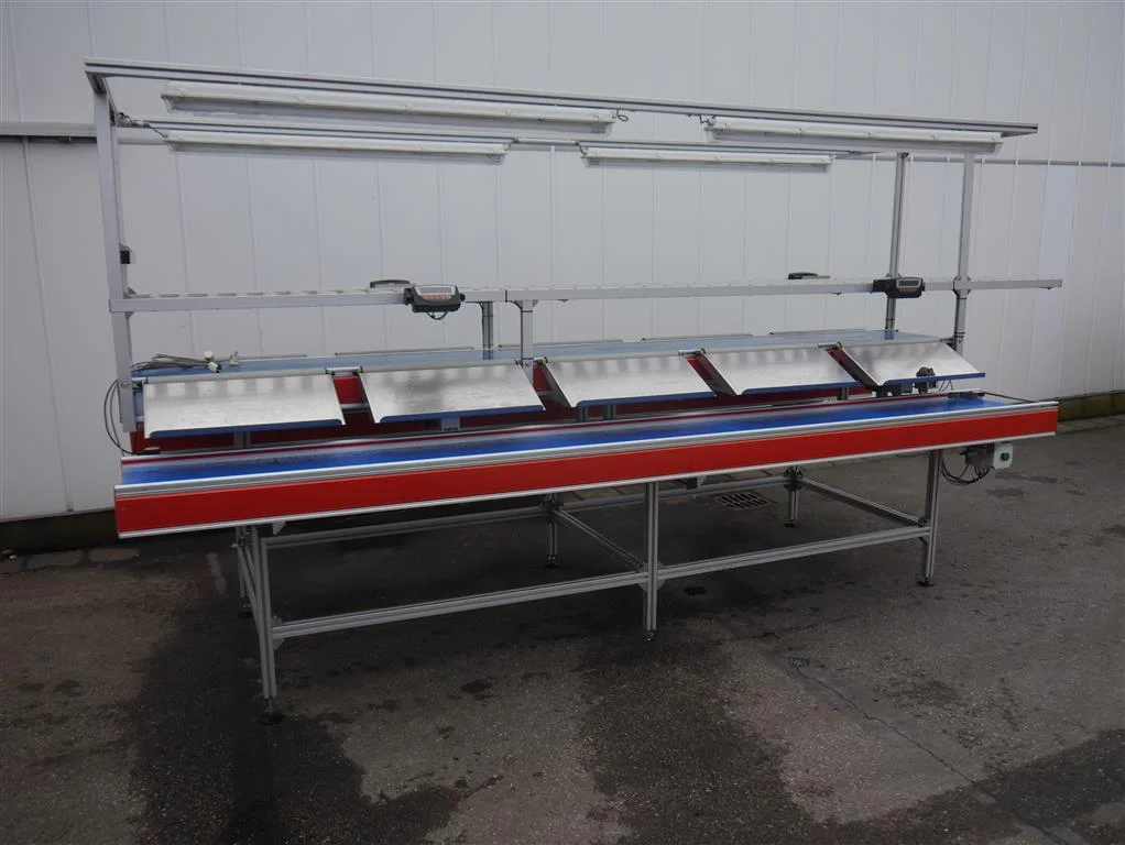 Stas combi conveyor with 4 electronic scales • Duijndam Machines