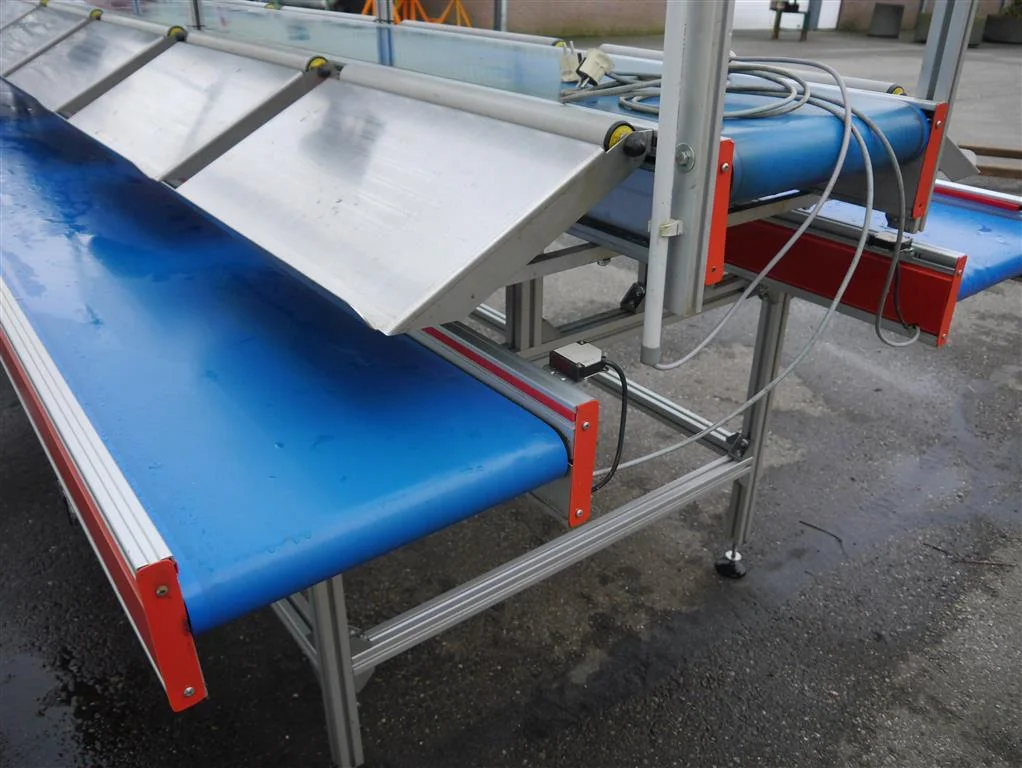 Stas combi conveyor with 4 electronic scales • Duijndam Machines