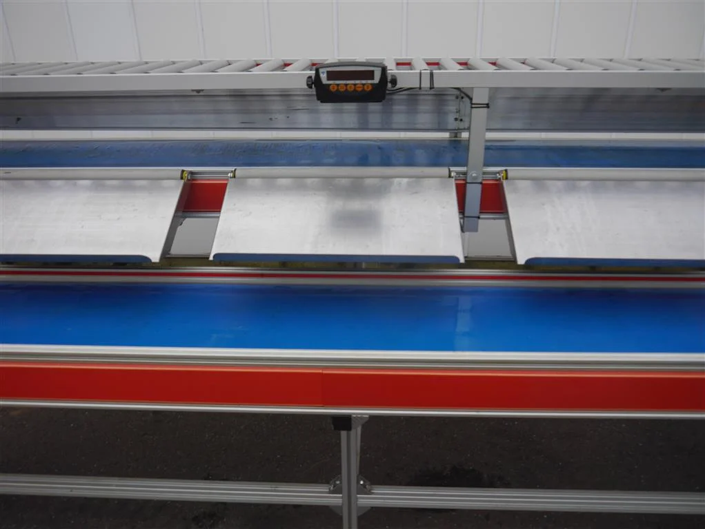 Stas Combi transportband met 3 ingebouwde weegschalen • Duijndam Machines