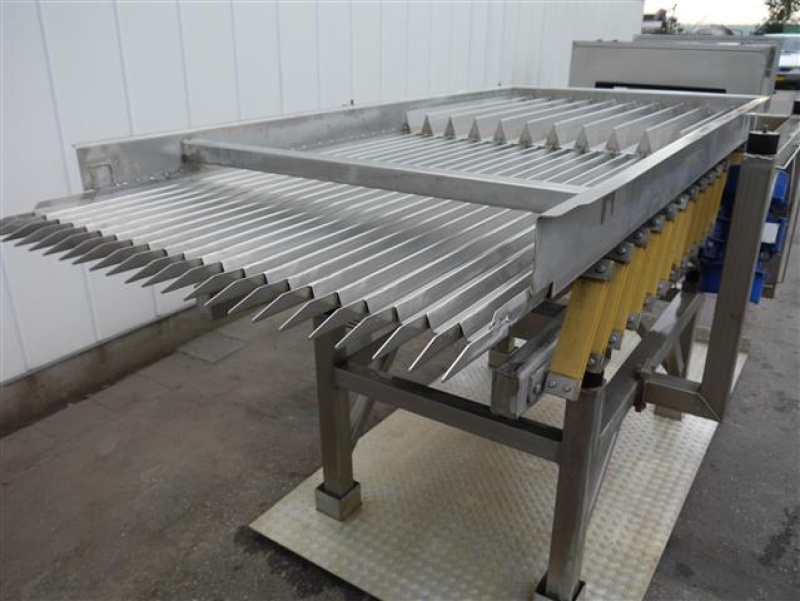 Gege rvs trilgoot breuk en lengtesorteermachine voor bonen • Duijndam ...