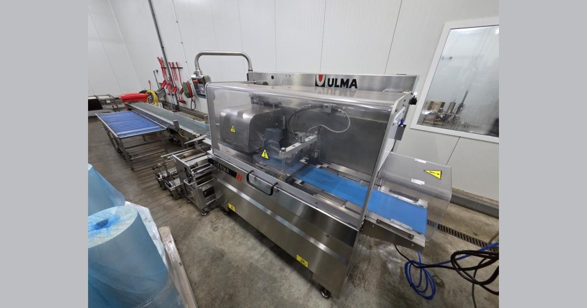 Ulma Sienna LS BI flow pack machine with long infeed conveyor ...
