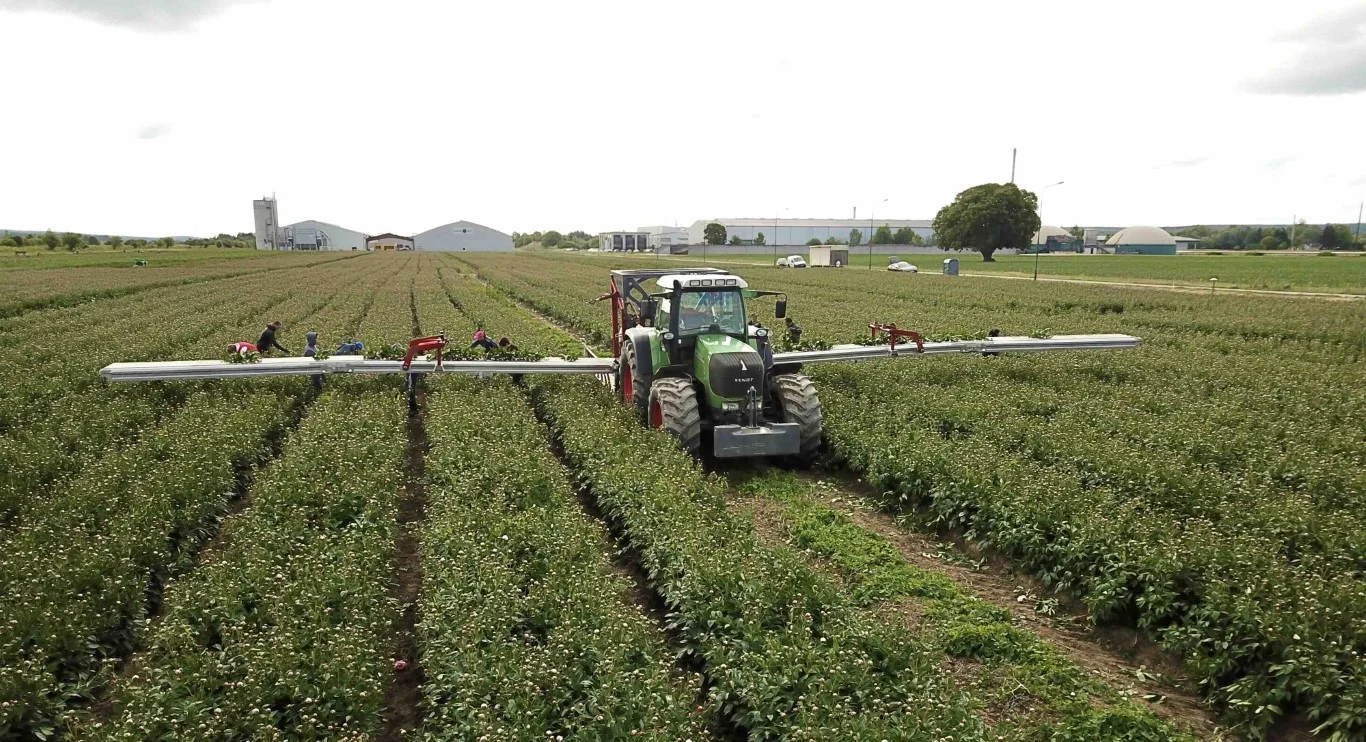 VDR harvesting conveyor for flowers with platform • Duijndam Machines