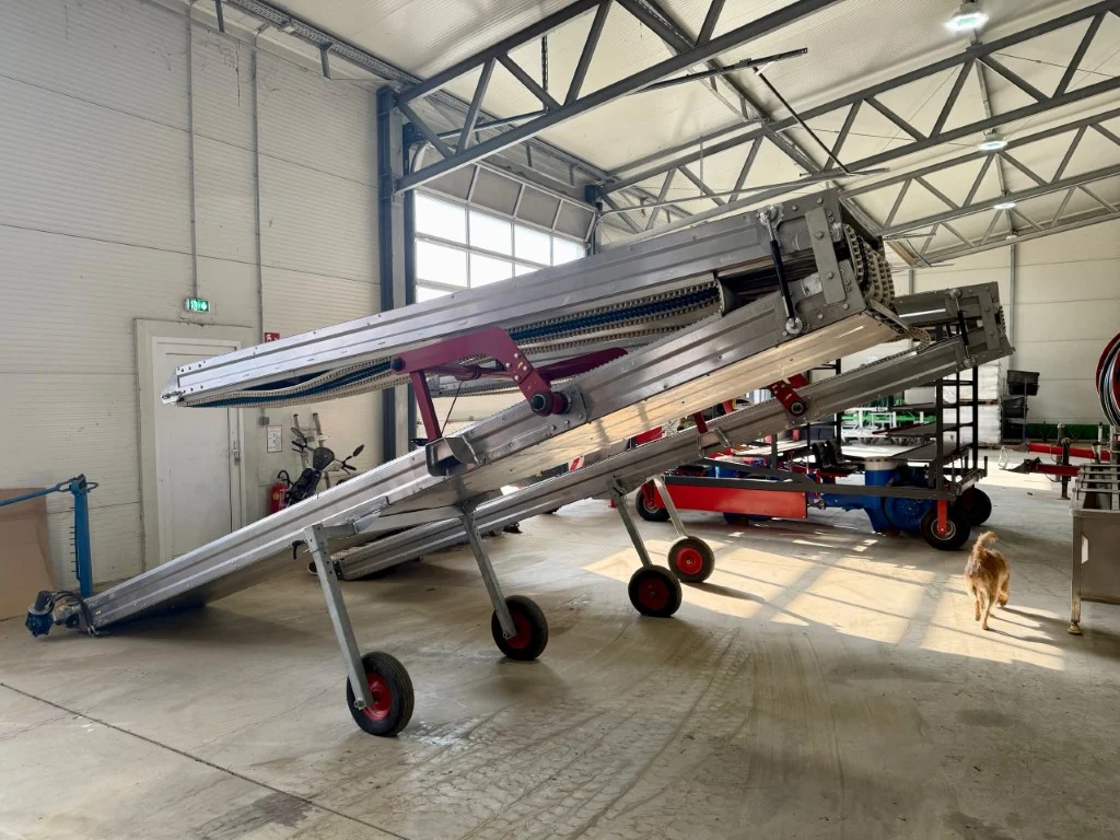 VDR harvesting conveyor for flowers with platform • Duijndam Machines