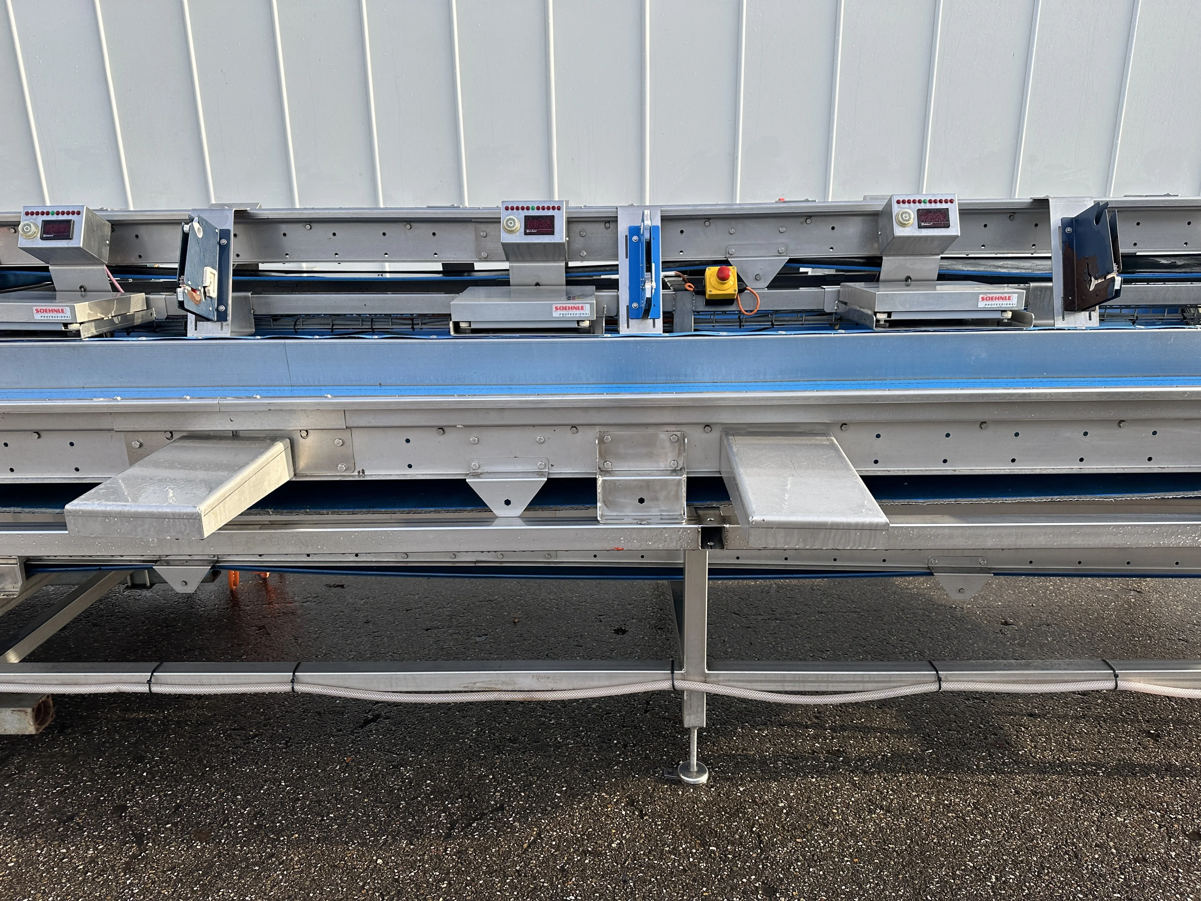 Visar stainless steel packing line with Netagco bin tipper and 16 ...