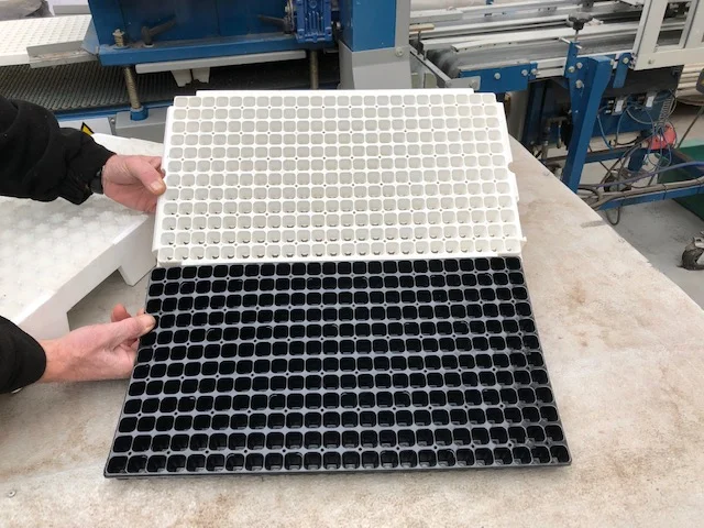 Plant Seed Tray s 288 Cells 12 x 24 • Duijndam Machines