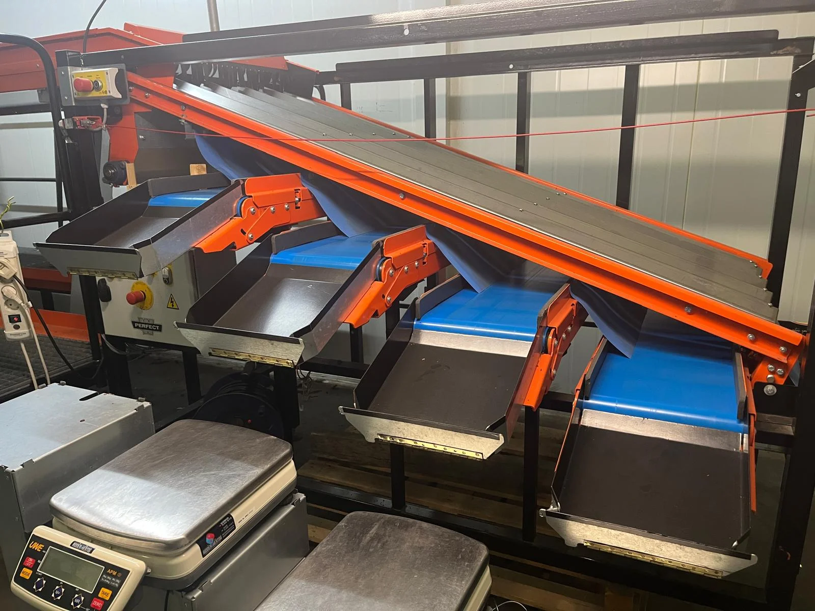 Wamel Perfect CGM-5-4 cherry sorting machine • Duijndam Machines