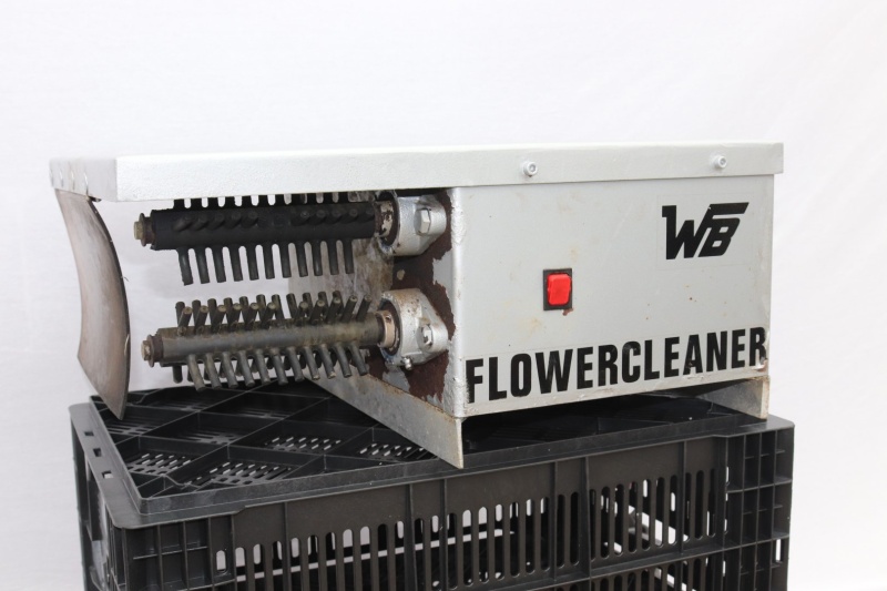 WB Flowercleaner deleafing machine • Duijndam Machines